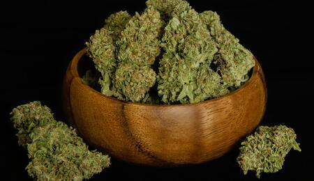 Royal Queen Seeds bringt die allerersten F1 Hybrid Same Soft Secrets